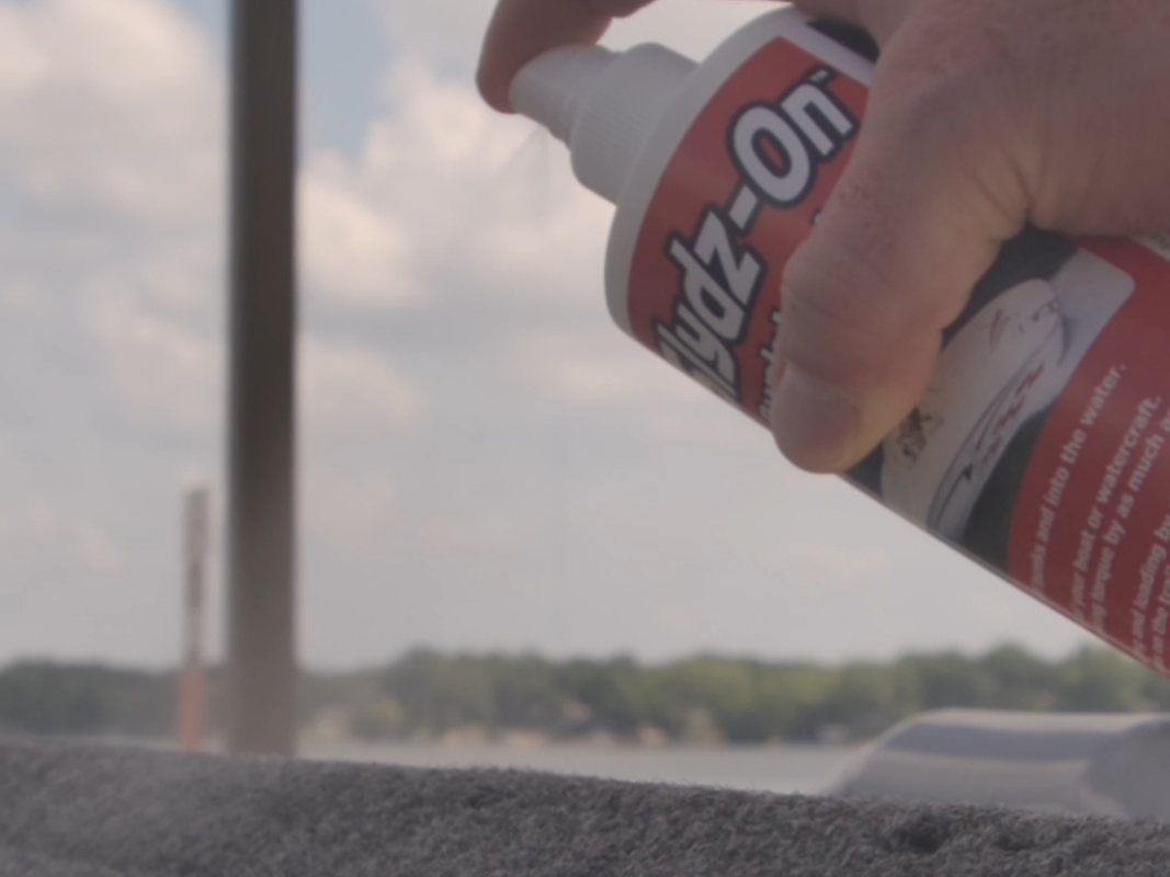 What is the best bunk solution for you?