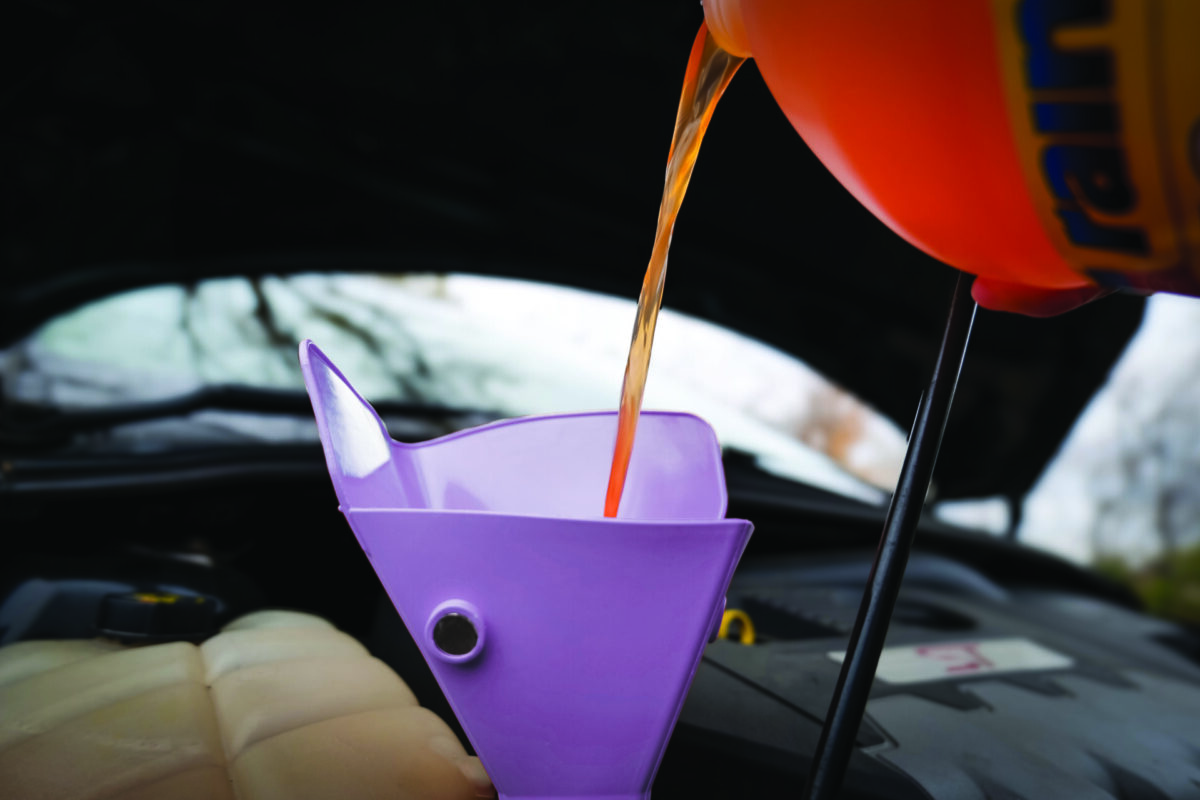 Flex & Fold Funnels: Compact and Flexible Design - Caliber, Inc.